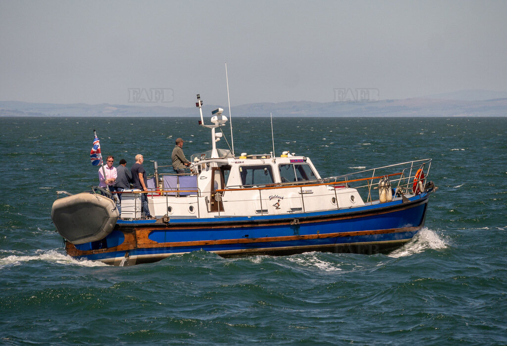 HALMATIC- NELSON 40, DUMFRIES - Advert 123264